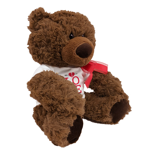 Personalized LOVE Coco Bear | 800Bear.com